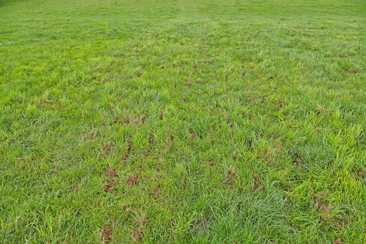 Spring Agricultural Aeration: Why should I aerate my land? - Kyne Equipment